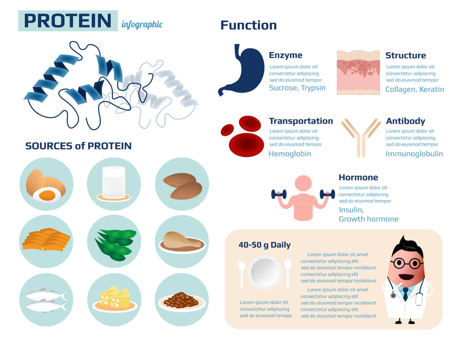 Protein - Nutritional Therapist, Tavistock, Devon and the South West ...